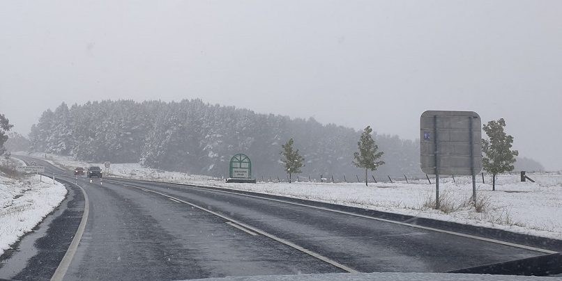 Darren Cutrupi, Author at 2NM